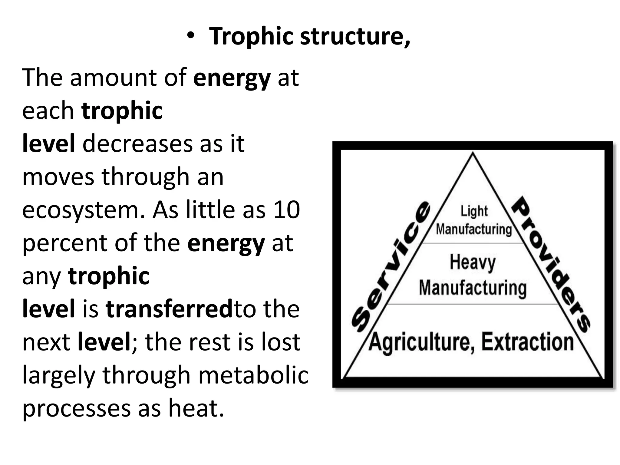 Trophic Structure of Ecosystems | PPTX