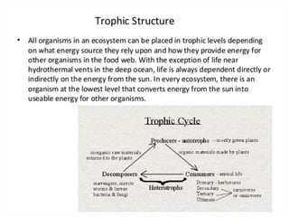 Trophic Structure of Ecosystems | PPTX