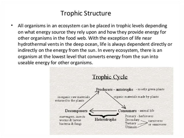 Trophic Structure of Ecosystems | PPTX | Science