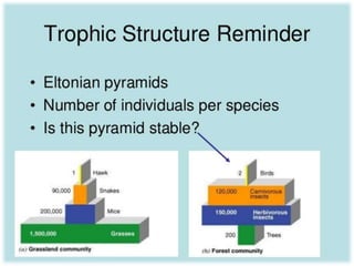 Trophic Structure of Ecosystems | PPTX