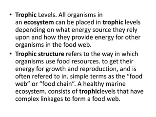 Trophic Structure of Ecosystems | PPTX