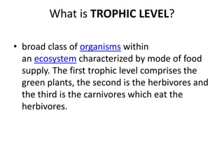 Trophic Structure of Ecosystems | PPTX