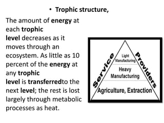 Trophic Structure of Ecosystems | PPTX