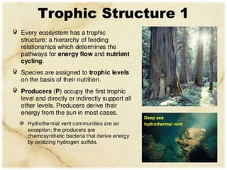 Trophic Structure of Ecosystems | PPTX