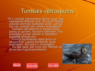 Latvijas putni | PPT