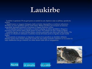 Latvijas putni | PPT