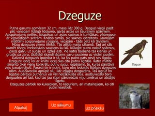 Latvijas putni | PPT