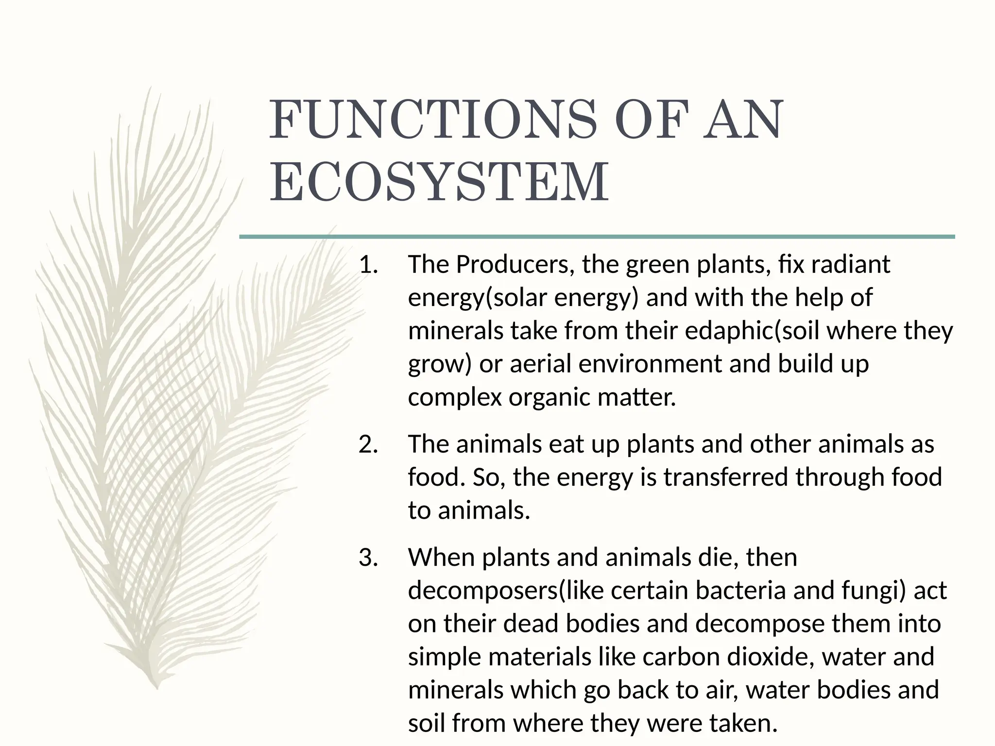 Lauda Ecosystem "Size does matter.".pptx
