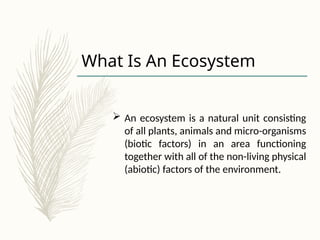 Lauda Ecosystem "Size does matter.".pptx