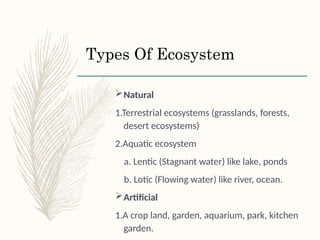Lauda Ecosystem "Size does matter.".pptx