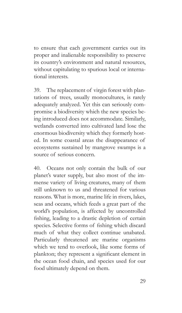 religion and ecology | PDF | Christianity | Religion & Spirituality