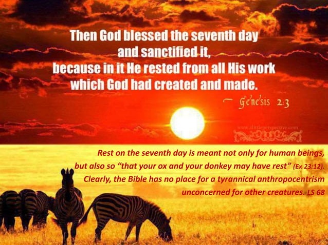 Laudato si 2 the gospel of creation | PPTX | Christianity | Religion ...