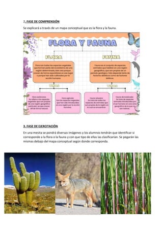 FLORA Y FAUNA.docx