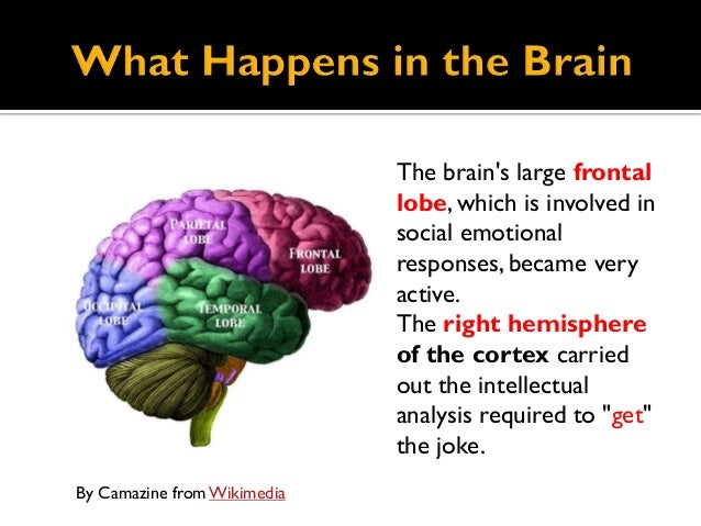 Laughter and the brain