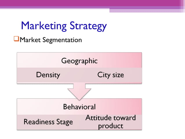 Marketing plan of Micro Nutrient Powder 'Pushtikona'