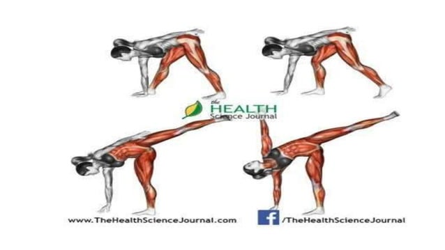 Launching exercises | PPT