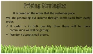 Launching new service company | PPTX | Business | Business and Finance