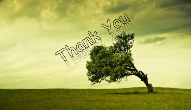 Launching new service company | PPT