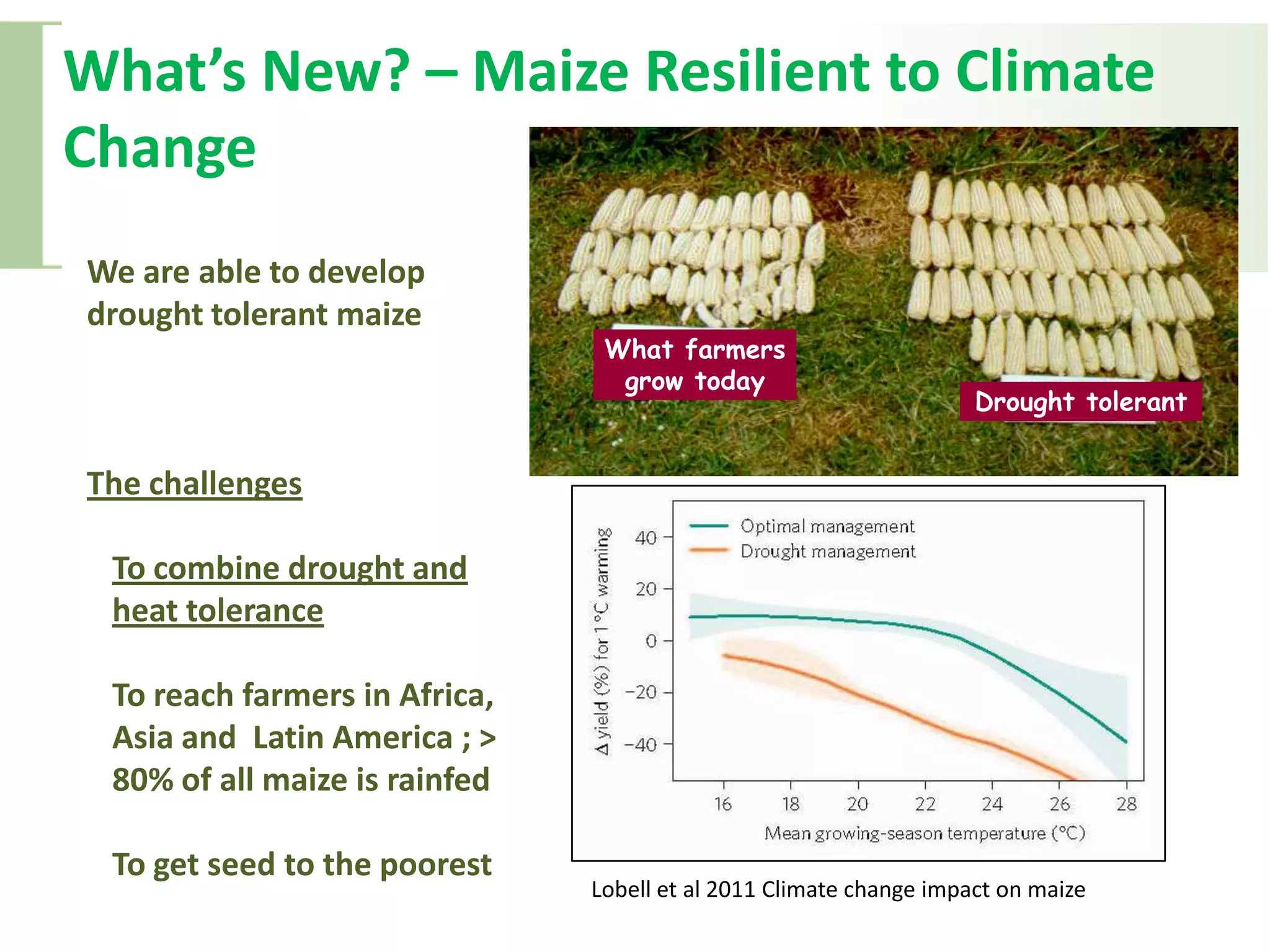 The CGIAR at 40 - Launch of the MAIZE Research Program by Dr. Thomas A Lumpkin | PPTX
