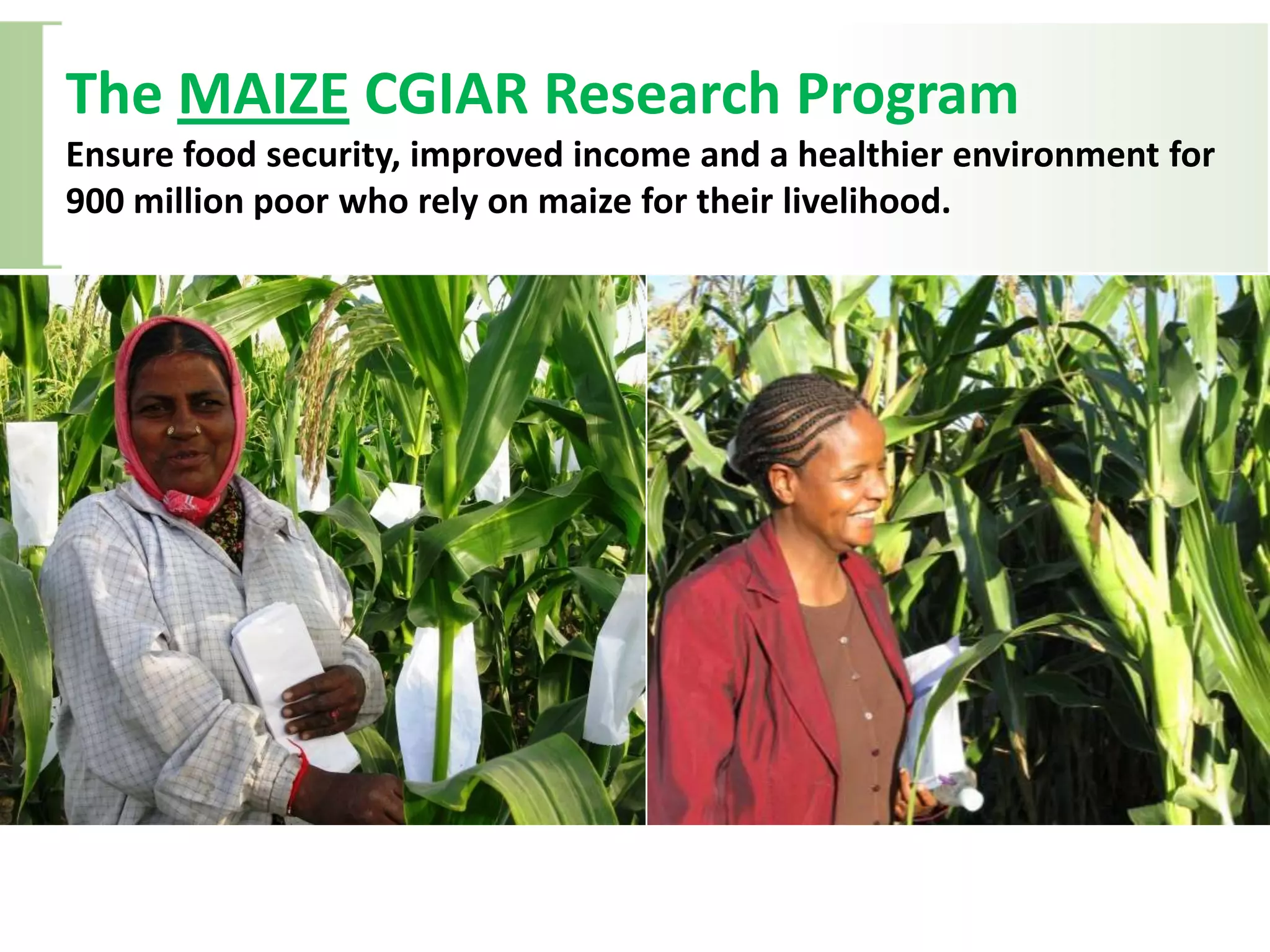 The CGIAR at 40 - Launch of the MAIZE Research Program by Dr. Thomas A Lumpkin | PPTX