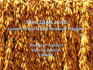 The CGIAR at 40 - Launch of the MAIZE Research Program by Dr. Thomas A Lumpkin | PPTX