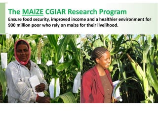The CGIAR at 40 - Launch of the MAIZE Research Program by Dr. Thomas A Lumpkin | PPTX