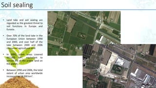 Status of the World’s Soil Resources | PDF | Agriculture | Industries