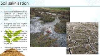 Status of World's Soil Resources Report | PPT