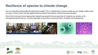 Launch TreesAdapt | PPT