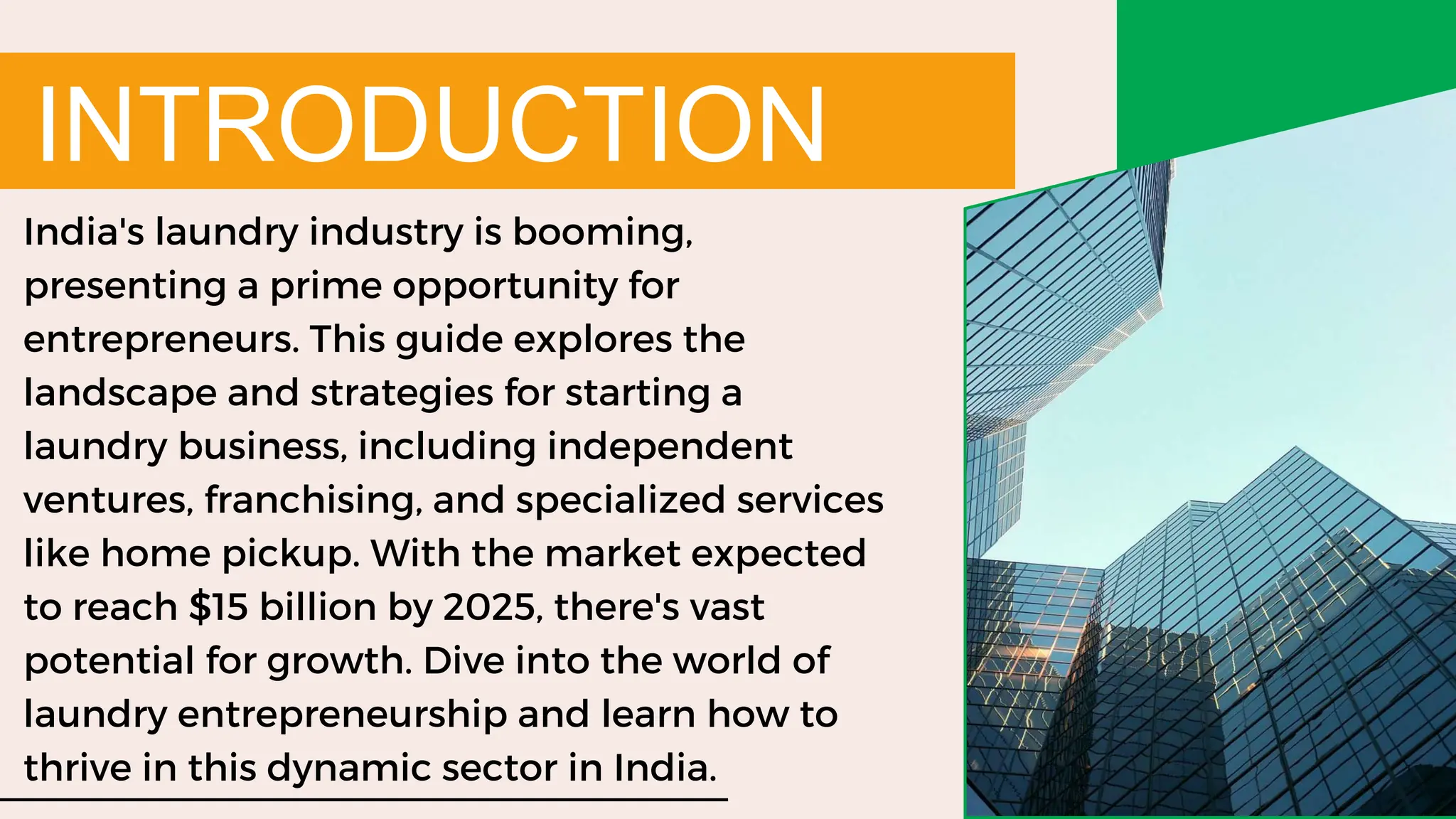 Laundry Business Plan.pptx