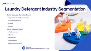 Laundry Detergent Market Analysis 2025 | Growth Trends & Opportunities ...