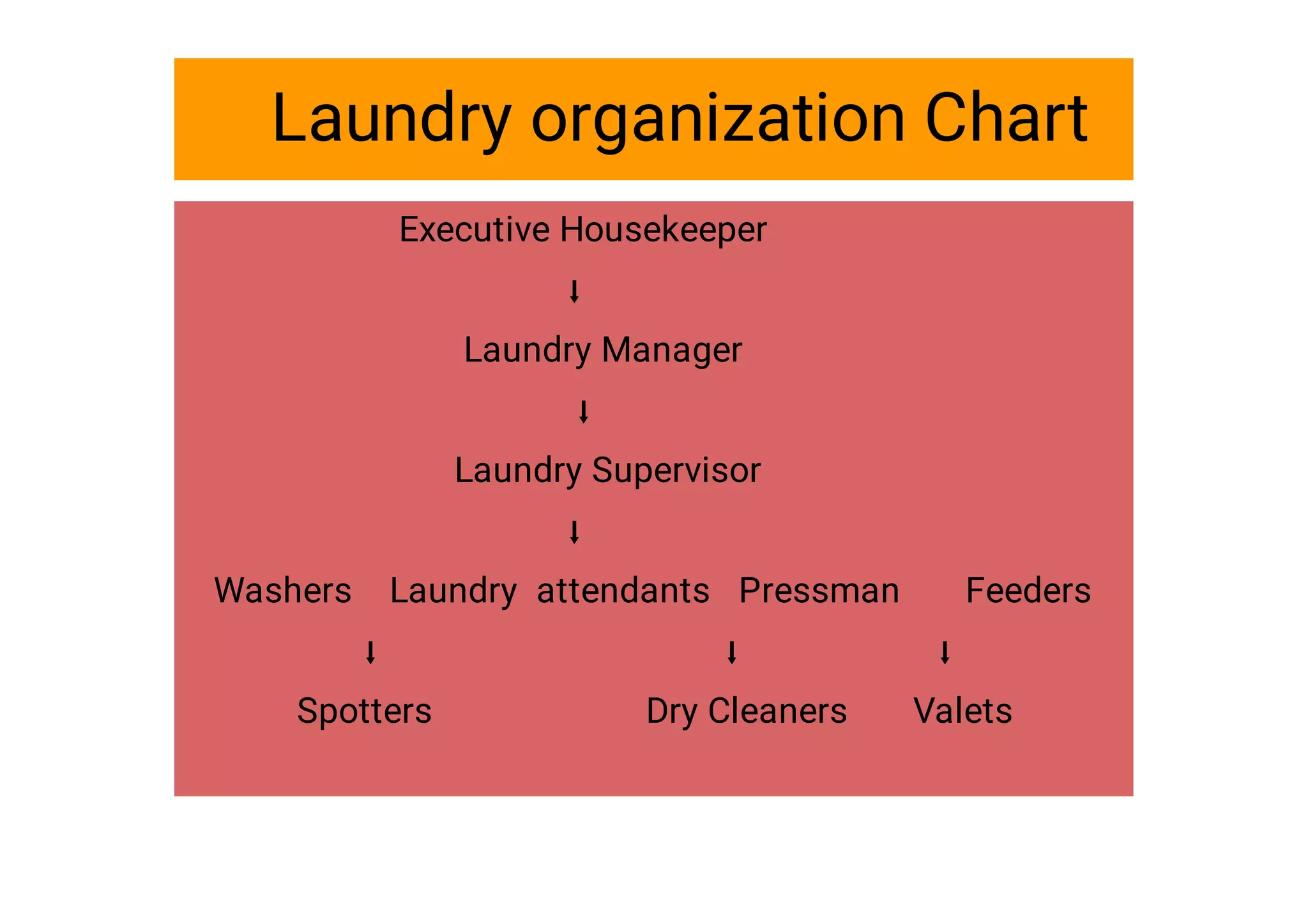 Laundry set up project (Housekeeping) | PDF Laundry set up project (Housekeeping) | PDF