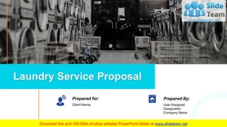 Laundry Service Proposal PowerPoint Presentation Slides | PDF