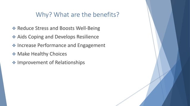 Promoting Adolescent Mental Health Wellness Through Mindfulness and ...