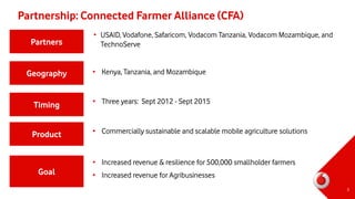 Laura Crow: Vodafone | PPTX | Agriculture | Industries