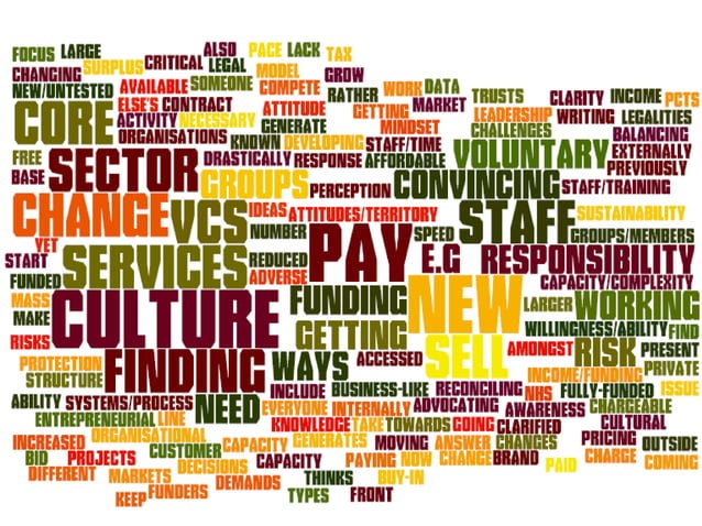 Laura Smith, NCVO | PPT