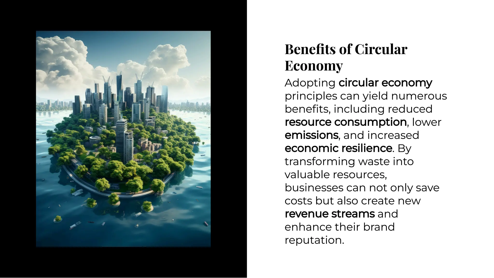 Laura Varela 5Dimes Circular Economy, turning trash into wealth | PPT