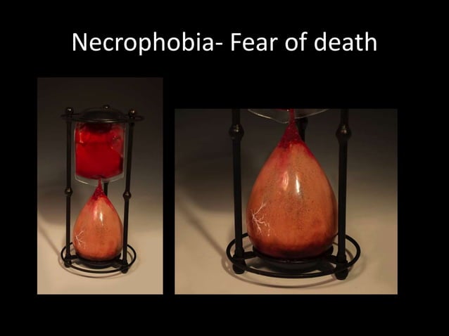 Lauren AP 3D - Score: 4