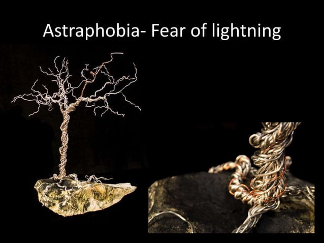 Lauren AP 3D - Score: 4