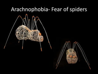 Lauren AP 3D - Score: 4