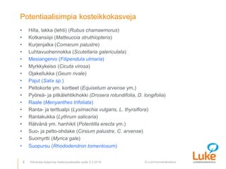 Voiko muita kosteikkokasveja hyödyntää tai viljellä? - Marika Laurila ...
