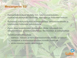 Voiko muita kosteikkokasveja hyödyntää tai viljellä? - Marika Laurila ...