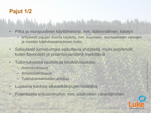 Voiko muita kosteikkokasveja hyödyntää tai viljellä? - Marika Laurila ...