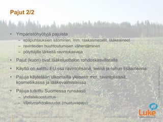 Voiko muita kosteikkokasveja hyödyntää tai viljellä? - Marika Laurila ...