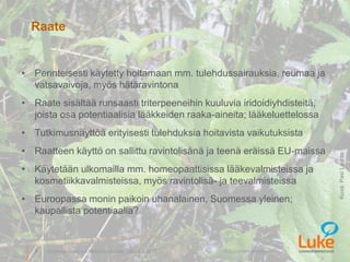 Voiko muita kosteikkokasveja hyödyntää tai viljellä? - Marika Laurila ...