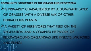 Grassland ecosystem, importance, problems | PPTX