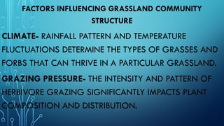 Grassland ecosystem, importance, problems | PPTX
