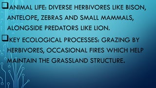 Grassland ecosystem, importance, problems | PPT