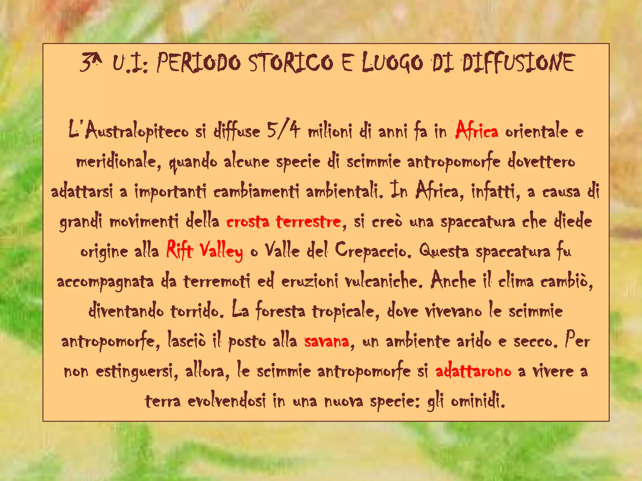 L’australopiteco | PPTX