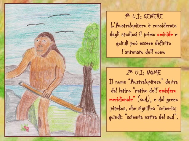 L’australopiteco | PPTX